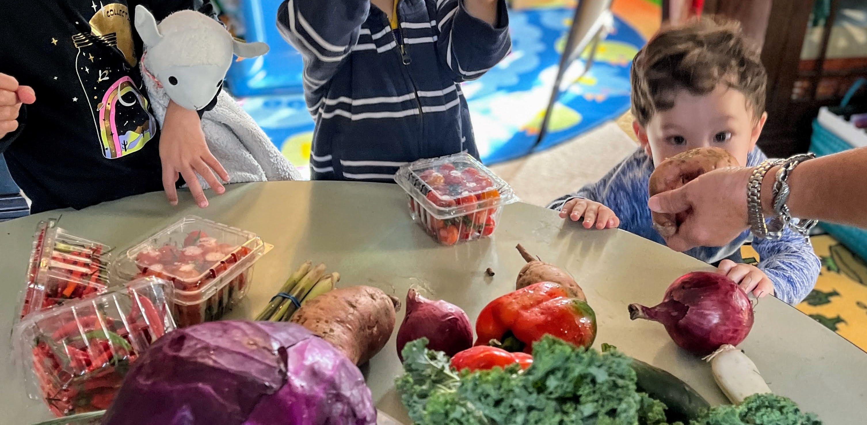 HAFA farm to early care | IATP