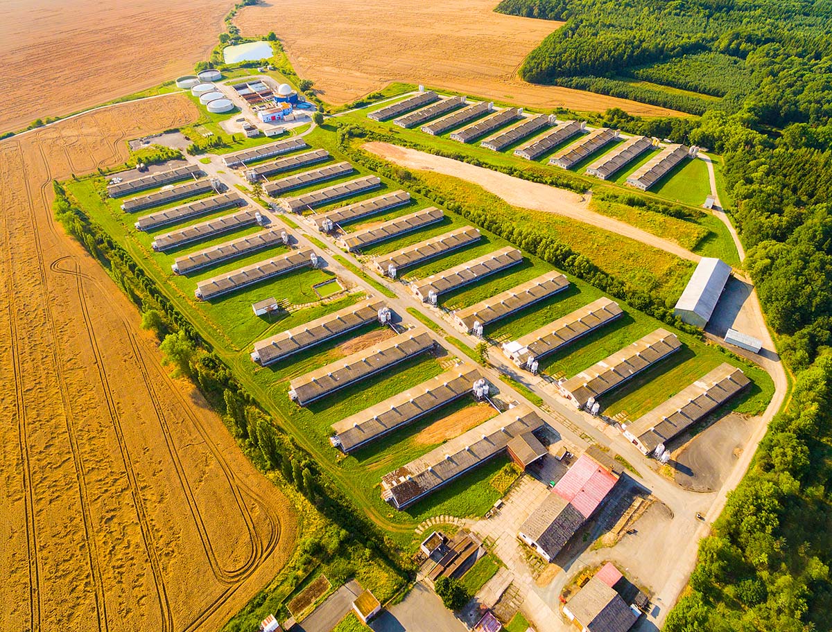 Industrial farm building | IATP
