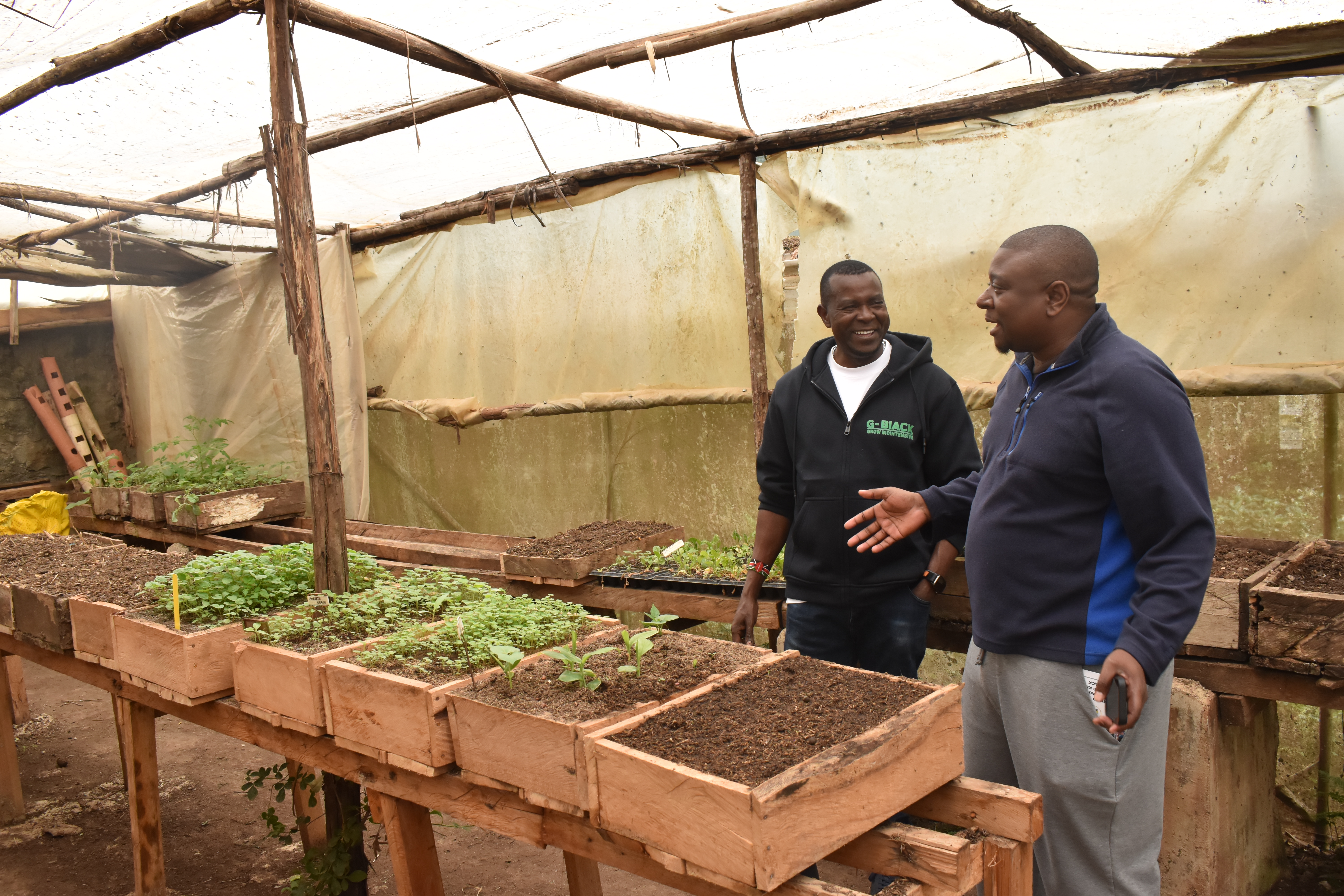 IATP joins partners in Kenya to reimagine our global agricultural trade ...