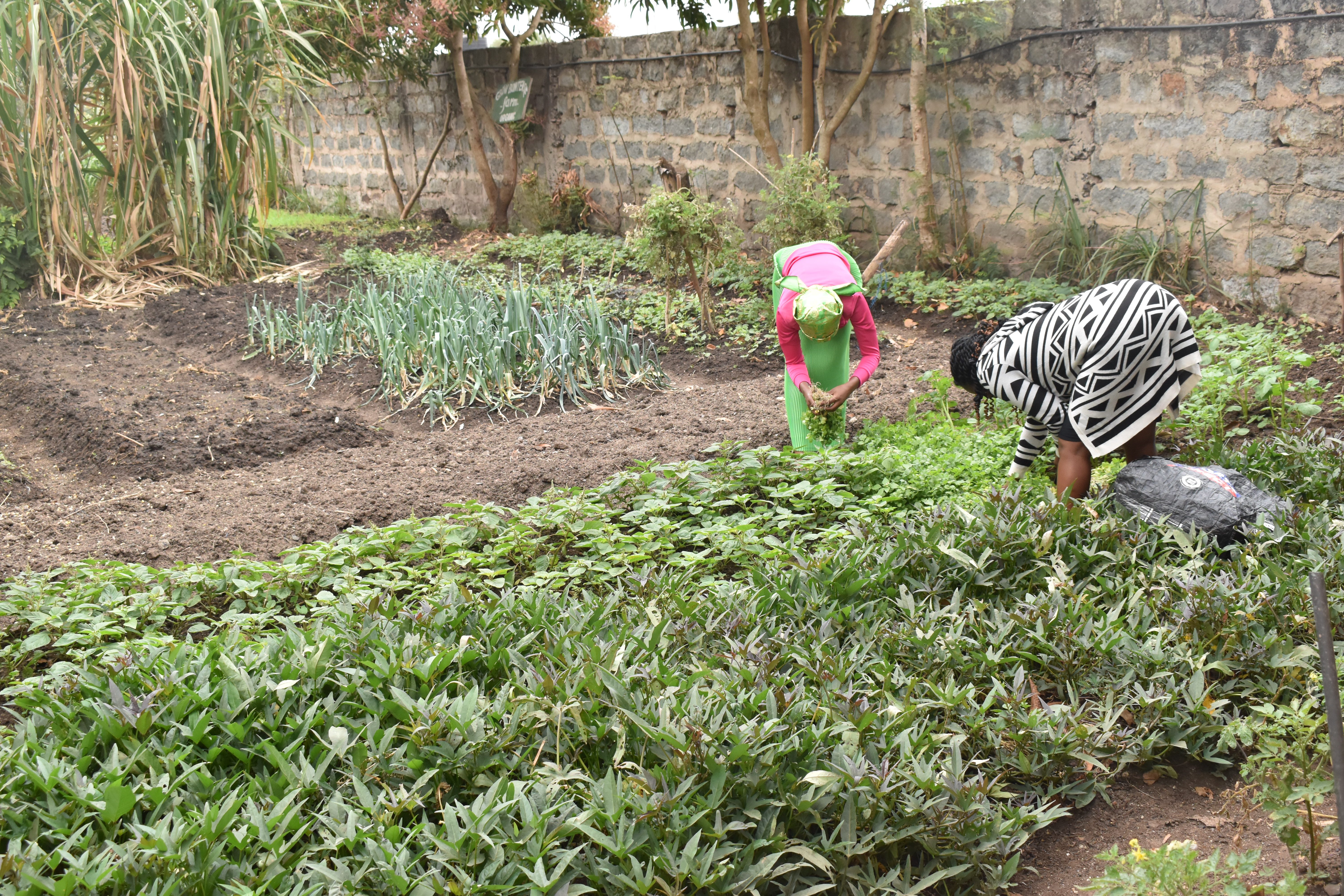 IATP joins partners in Kenya to reimagine our global agricultural trade ...
