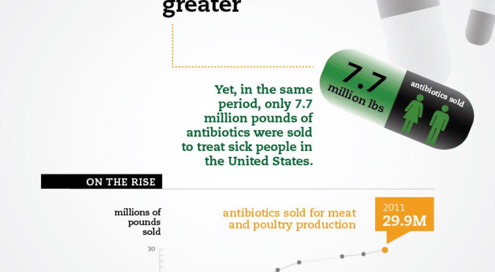 Animal antibiotic use continues upwards, FDA keeps blinders on | IATP